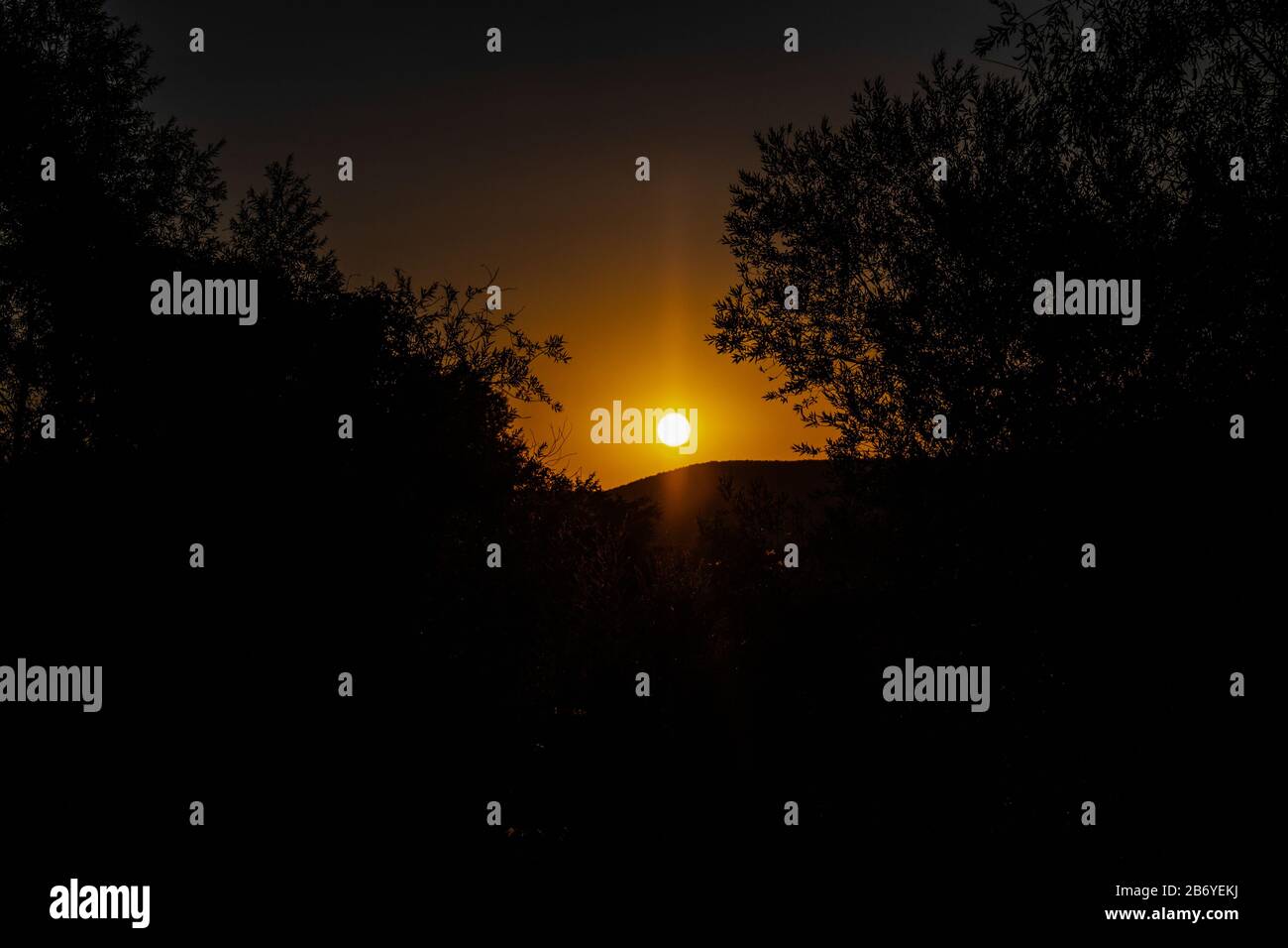 Sunrise valley with beautiful sun light and scenic trees hi-res stock ...