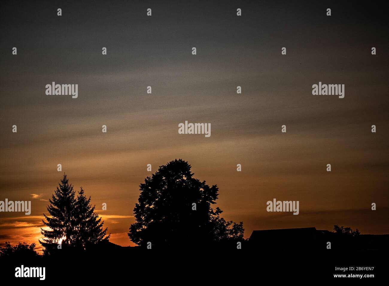 Dark sunset with trees in front Stock Photo - Alamy