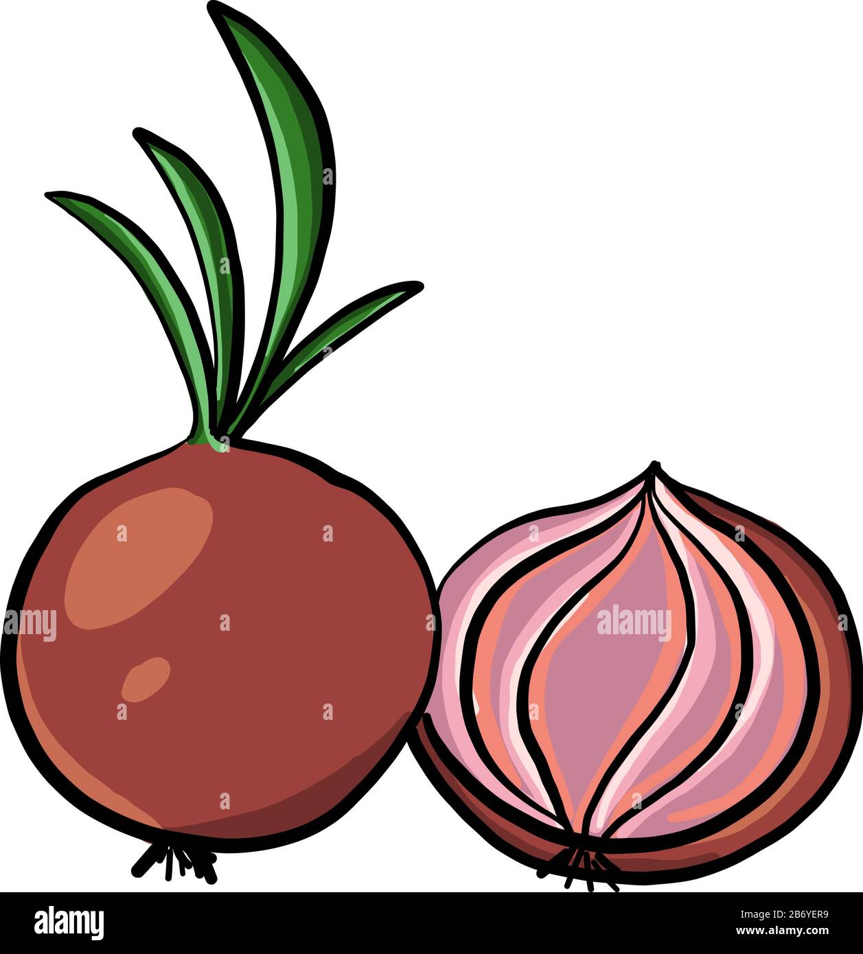 Onion in half, illustration, vector on white background Stock Vector ...