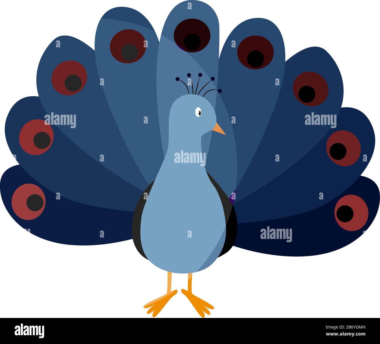 Blue peacock, illustration, vector on white background Stock Vector ...