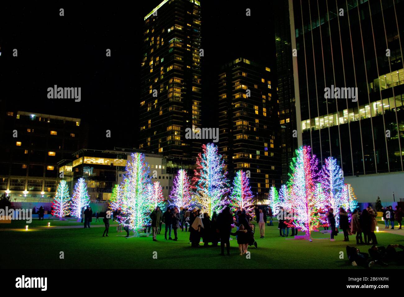 The Sasha trees exhibition at Winter Lights 2020 at Canary Wharf in ...