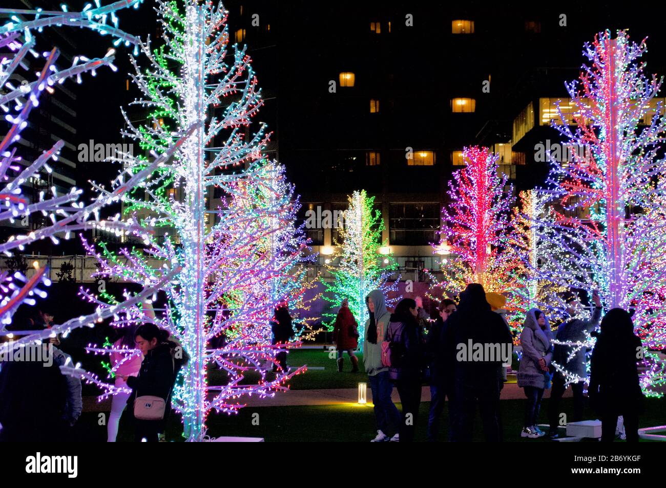 The Sasha trees exhibition at Winter Lights 2020 at Canary Wharf in ...