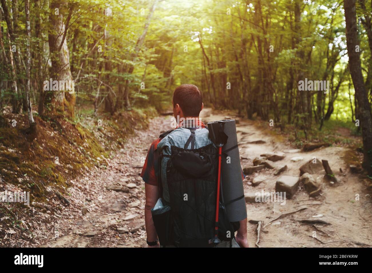 A traveler with a backpack in the spring forest on the path looks ahead ...