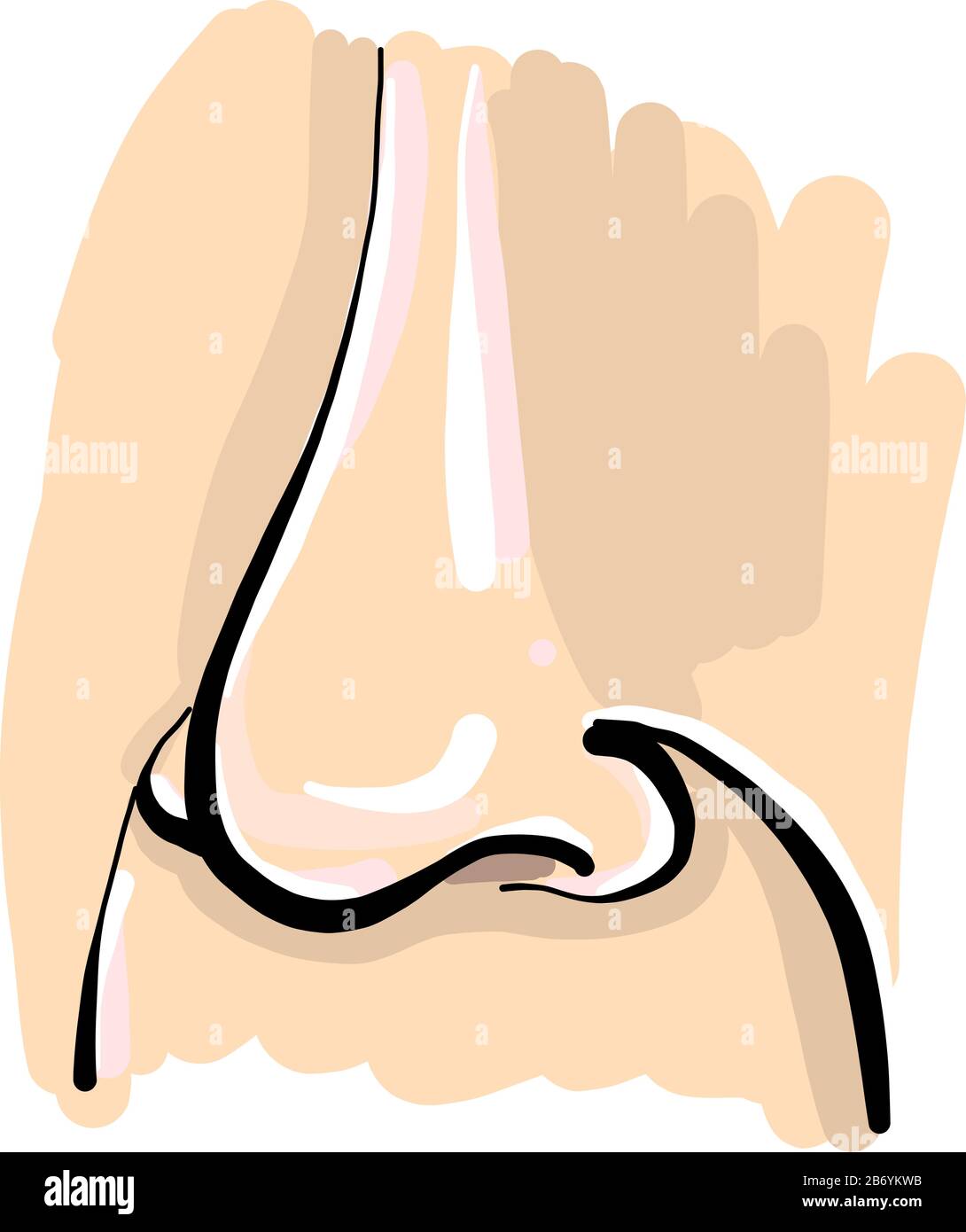 Front nose, illustration, vector on white background Stock Vector Image ...