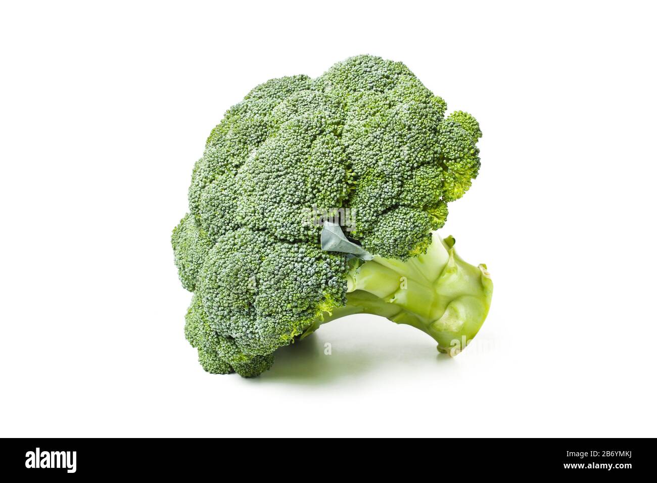 Broccoli isolated on white background Stock Photo - Alamy
