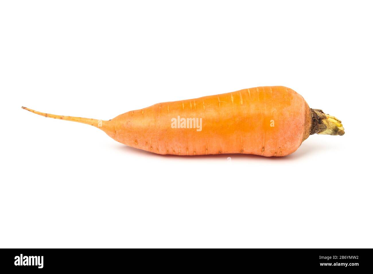 Carrot close-up isolated on white Stock Photo - Alamy
