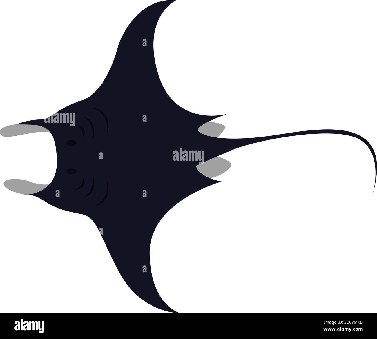 Manta ray, illustration, vector on white background Stock Vector Image ...