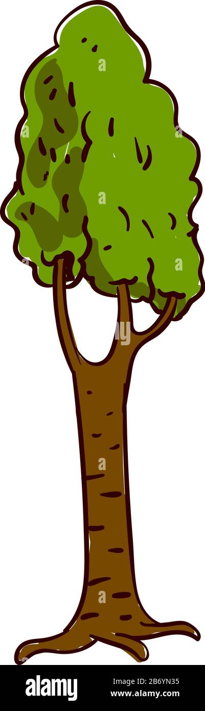 Tall tree, illustration, vector on white background Stock Vector Image ...