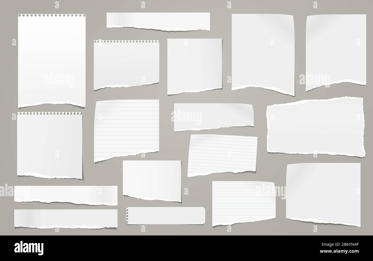 Torn of white note, notebook paper strips, pieces stuck on grey ...