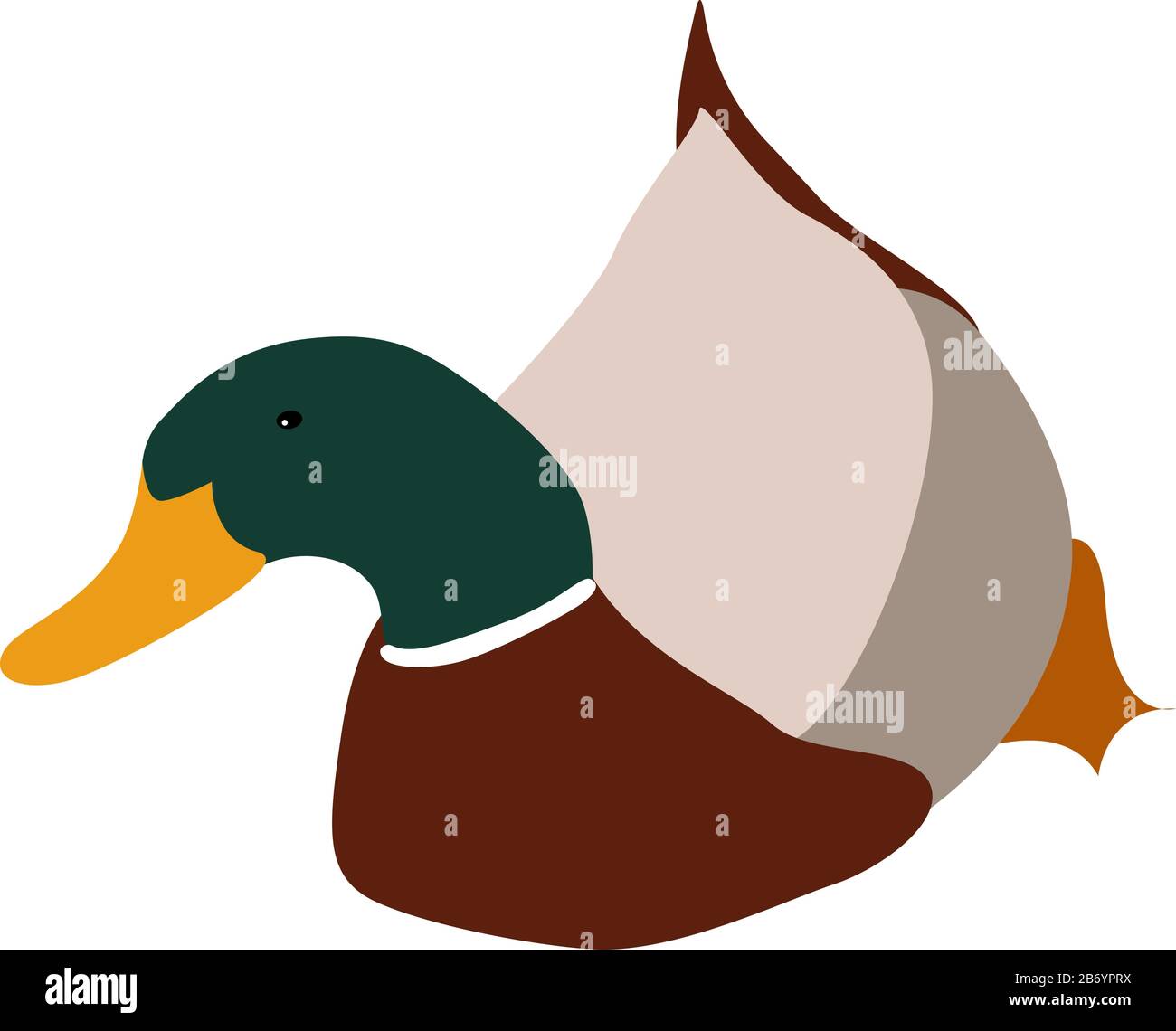 Old duck, illustration, vector on white background Stock Vector Image ...
