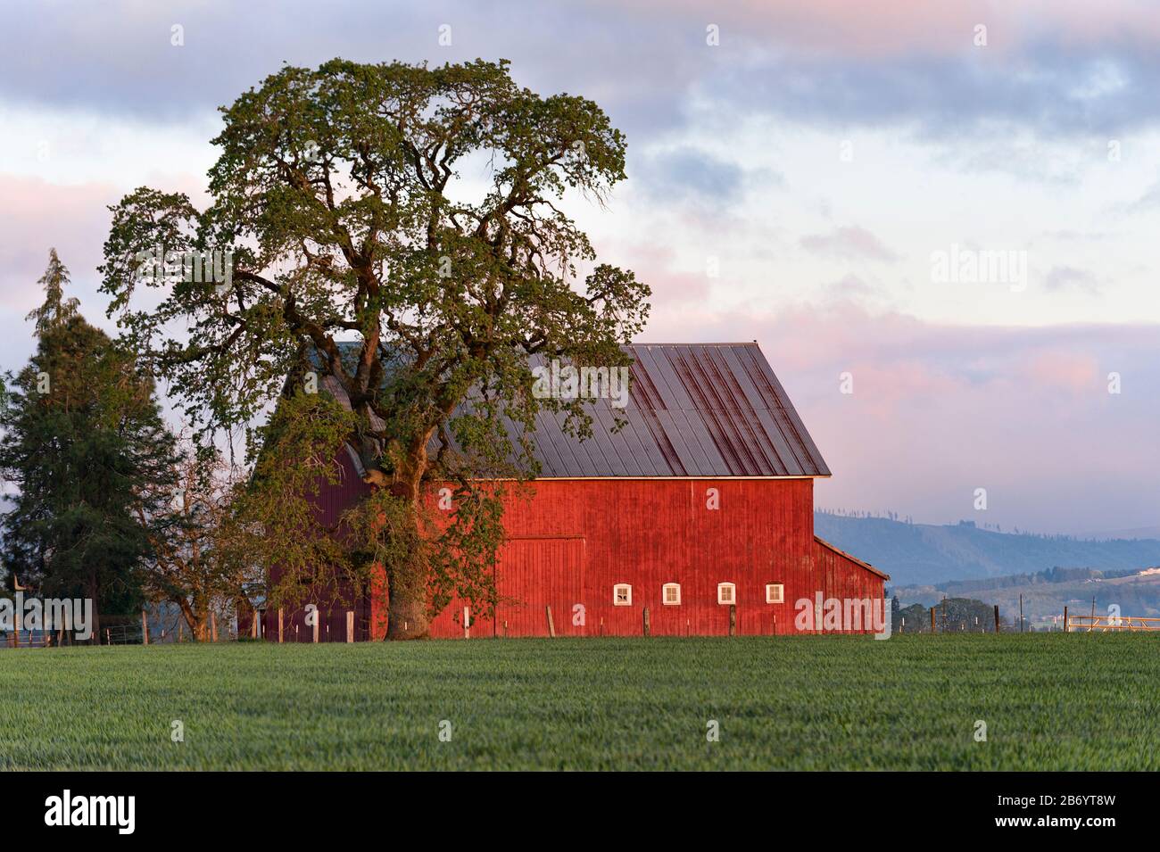 Agricultural farmground near Salem Oregon where a red barn and oak tree ...