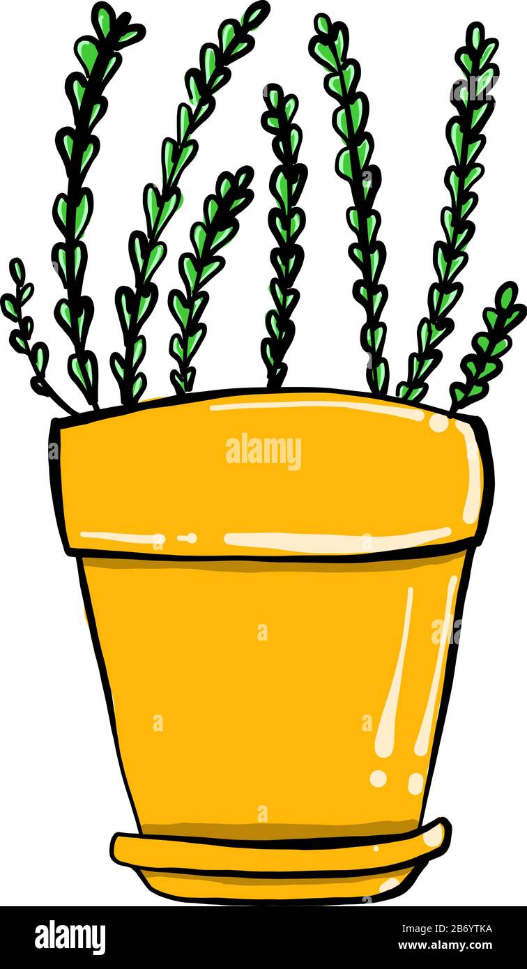 Plant in yellow pot, illustration, vector on white background Stock ...