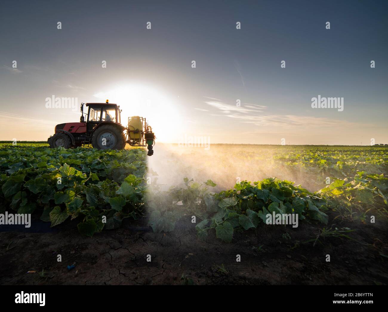 Tractor spraying pesticides on vegetable field with sprayer at spring ...