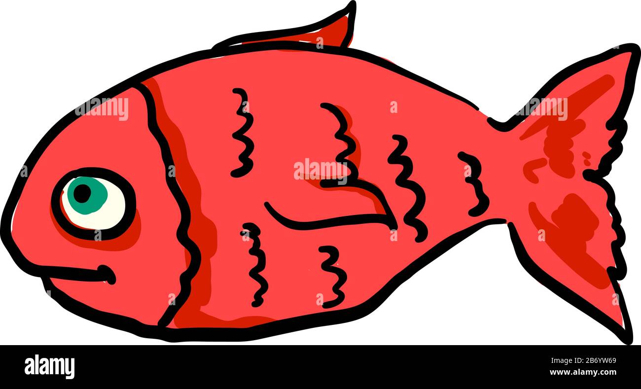 Red fish, illustration, vector on white background Stock Vector Image ...
