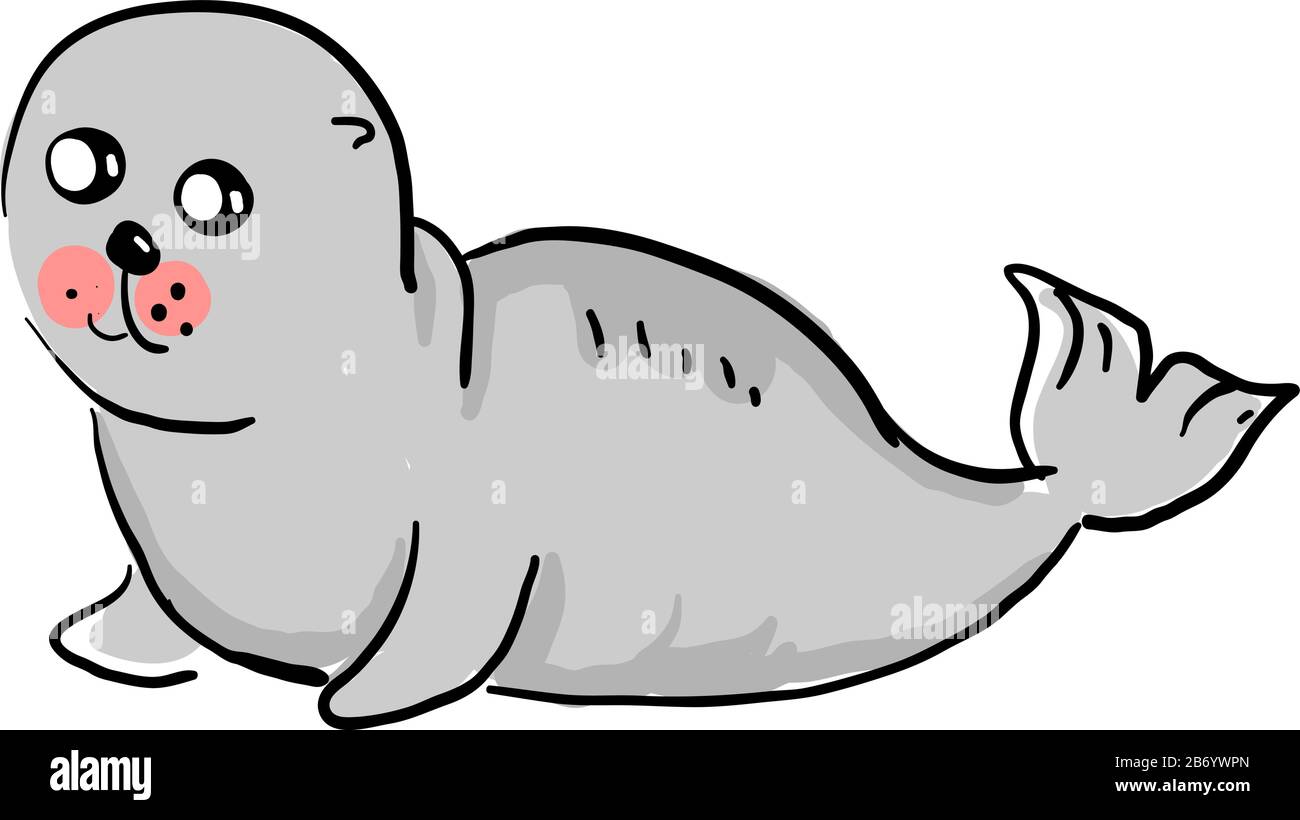 Cute seal, illustration, vector on white background Stock Vector Image ...
