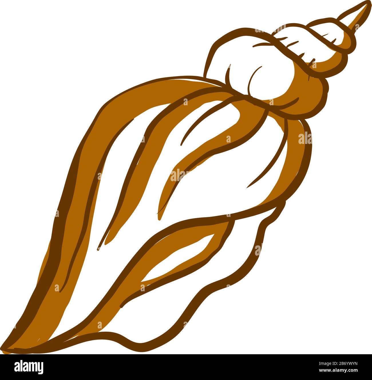 Shell drawing, illustration, vector on white background Stock Vector ...