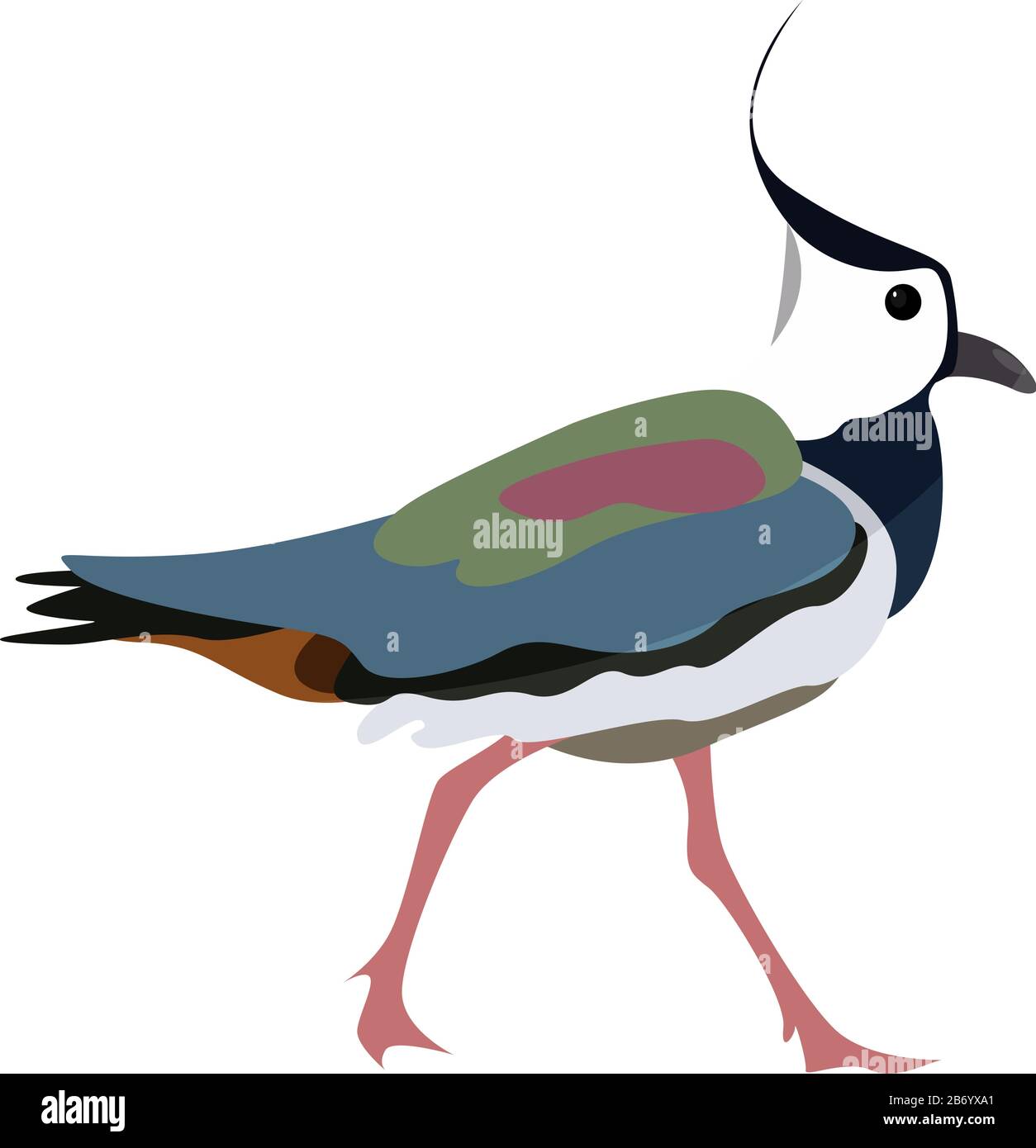 Lapwing Stock Vector Images - Alamy