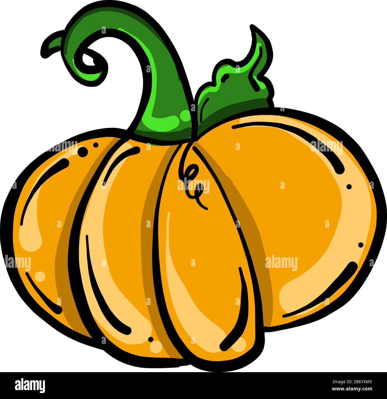 Pumpkin drawing, illustration, vector on white background Stock Vector ...