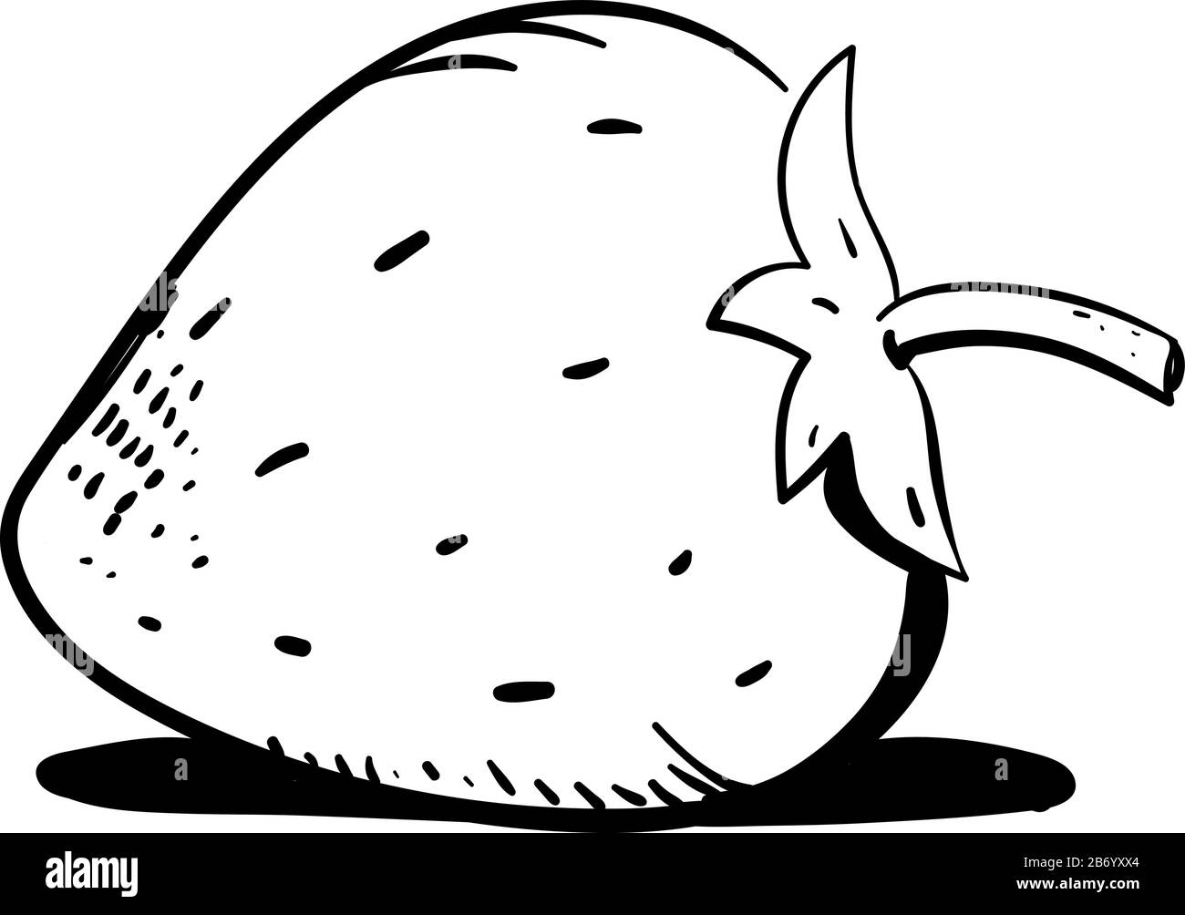 Strawberry sketch, illustration, vector on white background Stock ...