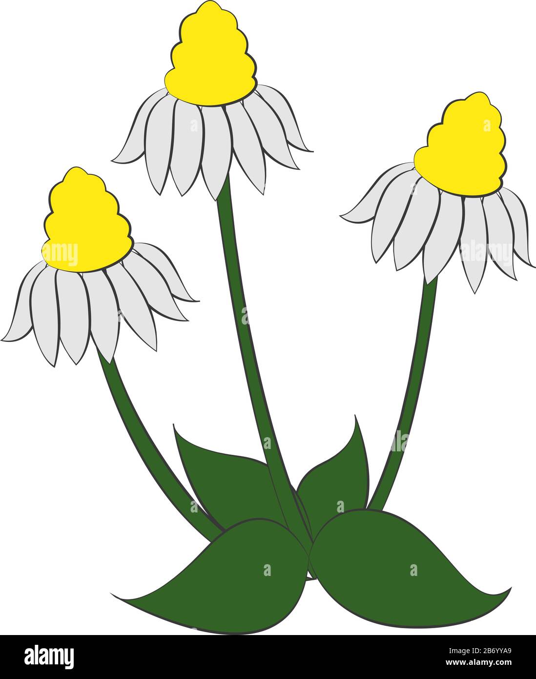 Three daisies, illustration, vector on white background Stock Vector ...
