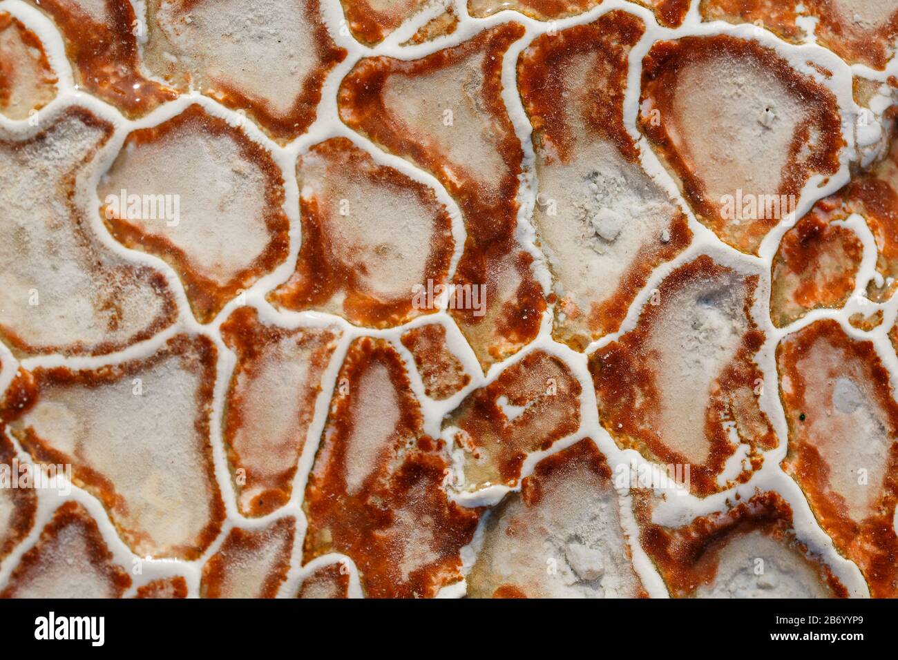 Texture of red and white calcium carbonate full screen as a substrate ...