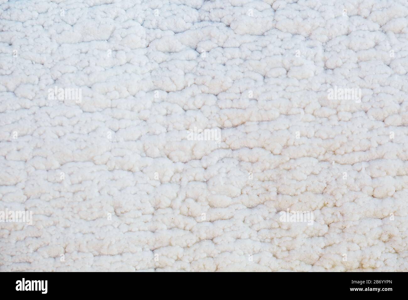 The texture of light calcium carbonate in full screen as a substrate ...