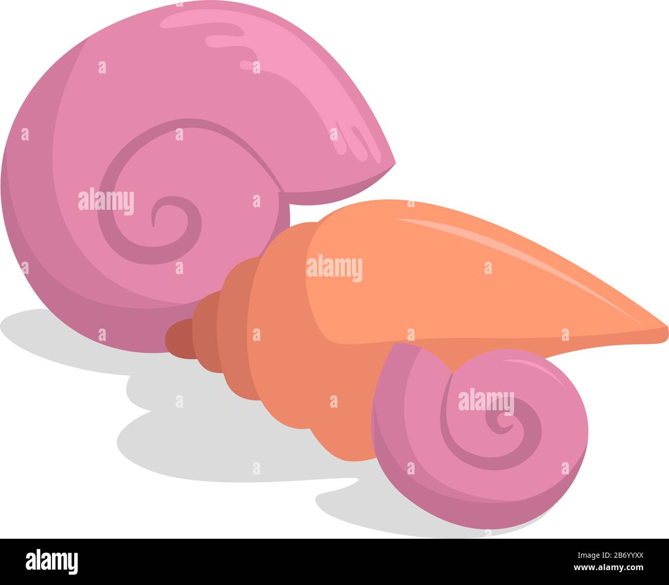 Sea shells, illustration, vector on white background Stock Vector Image ...