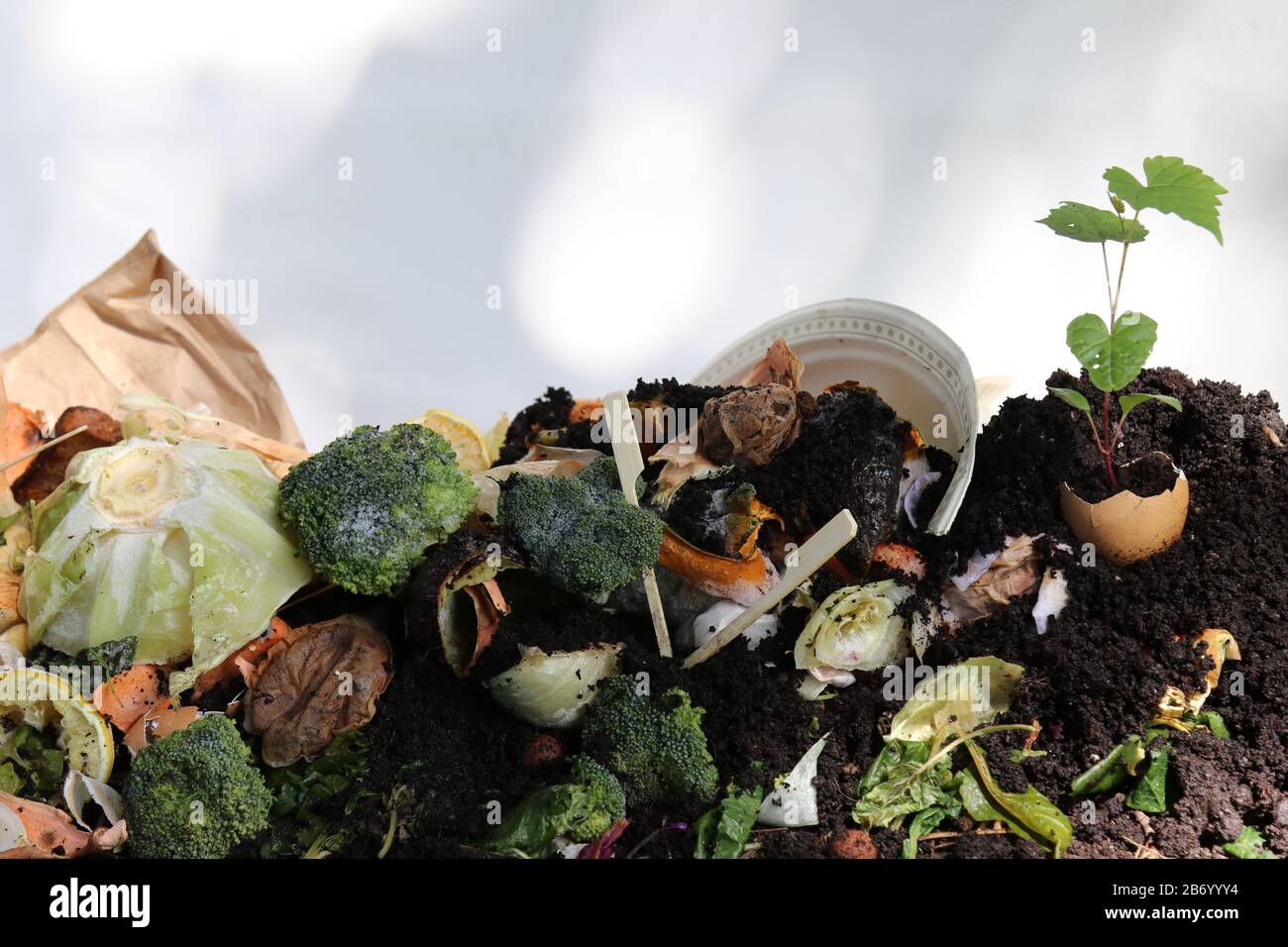 Decomposing Food High Resolution Stock Photography and Images - Alamy