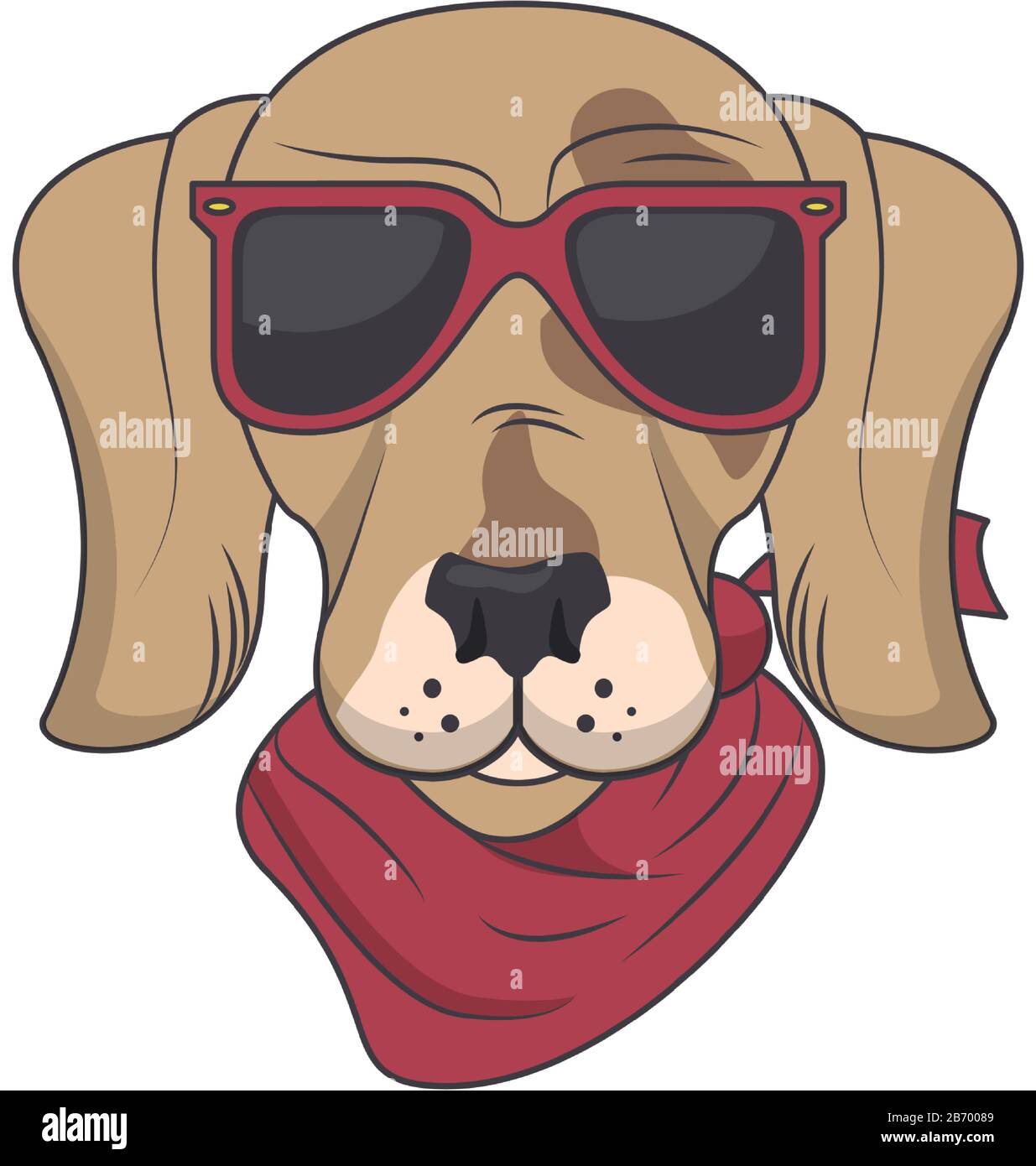funny dog with sunglasses cool style Stock Vector Image & Art - Alamy