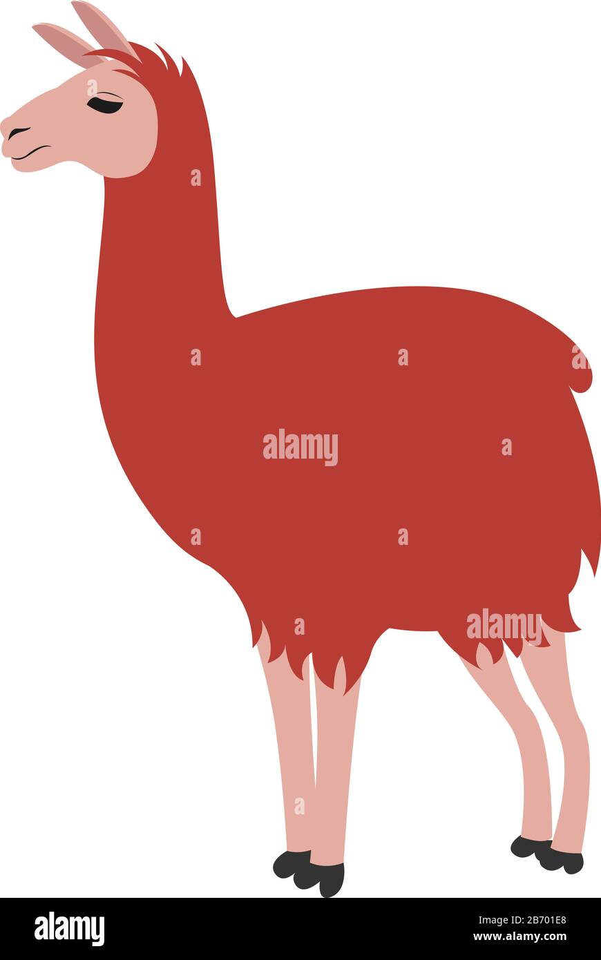 Red llama, illustration, vector on white background Stock Vector Image ...