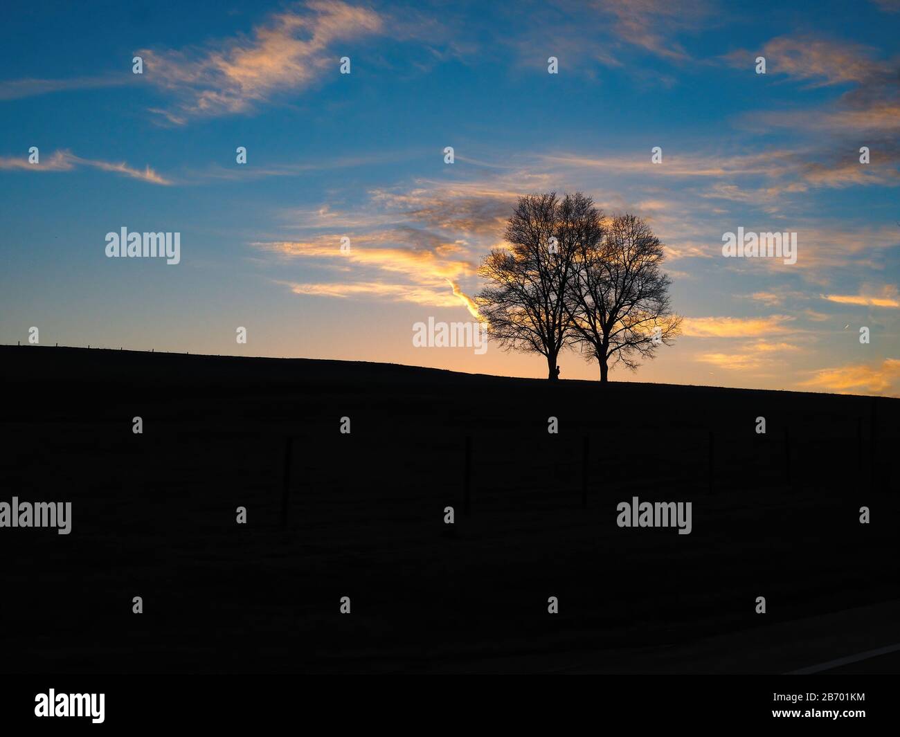 Trees in silhouette hi-res stock photography and images - Alamy
