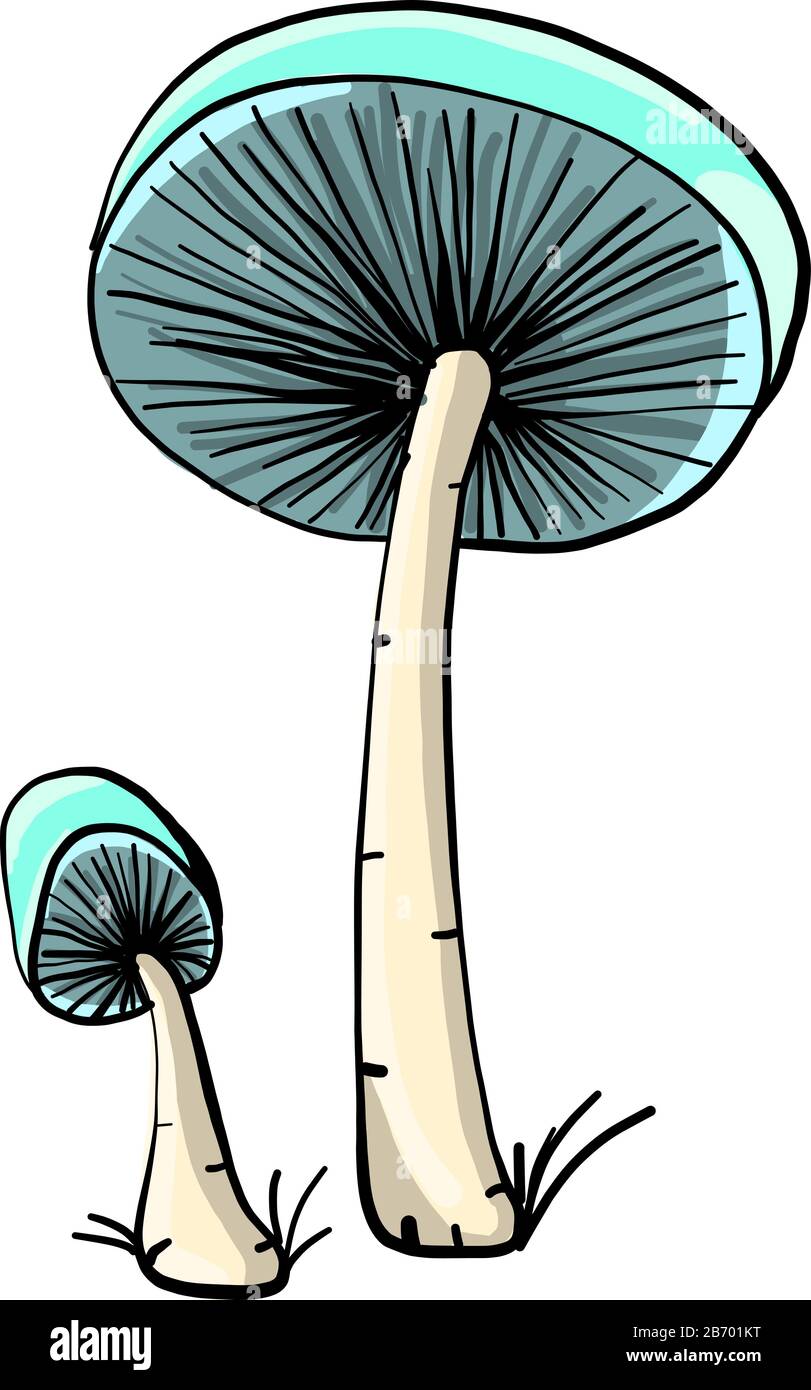 Two mushrooms, illustration, vector on white background Stock Vector ...