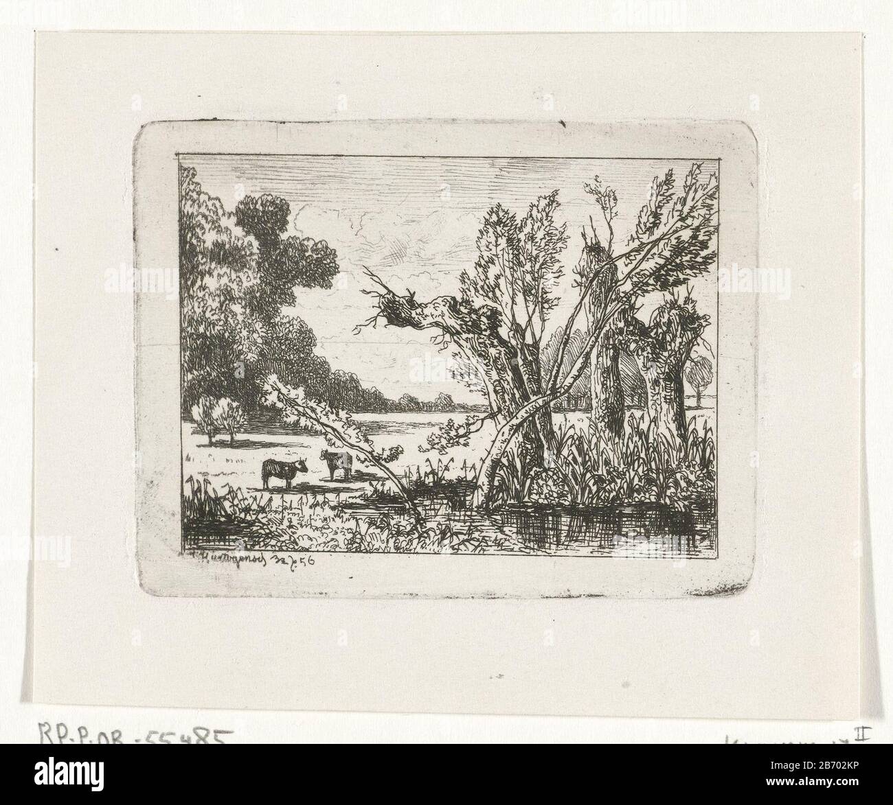 Joseph hartogensis hi-res stock photography and images - Alamy