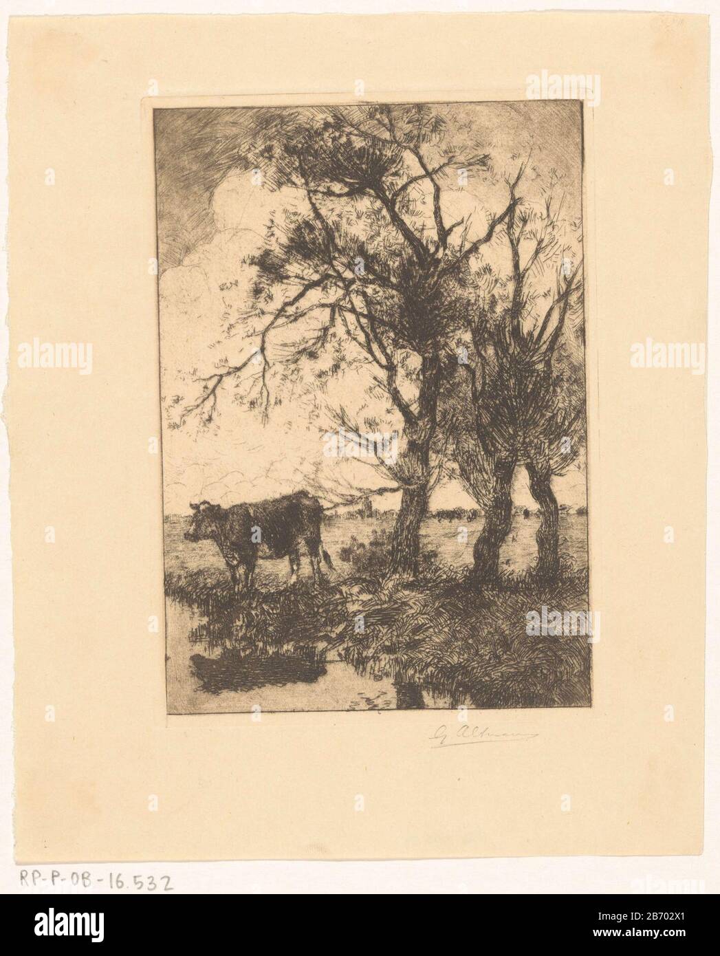 Koe aan de waterkant Standing cow on the waterfront next three bomen ...