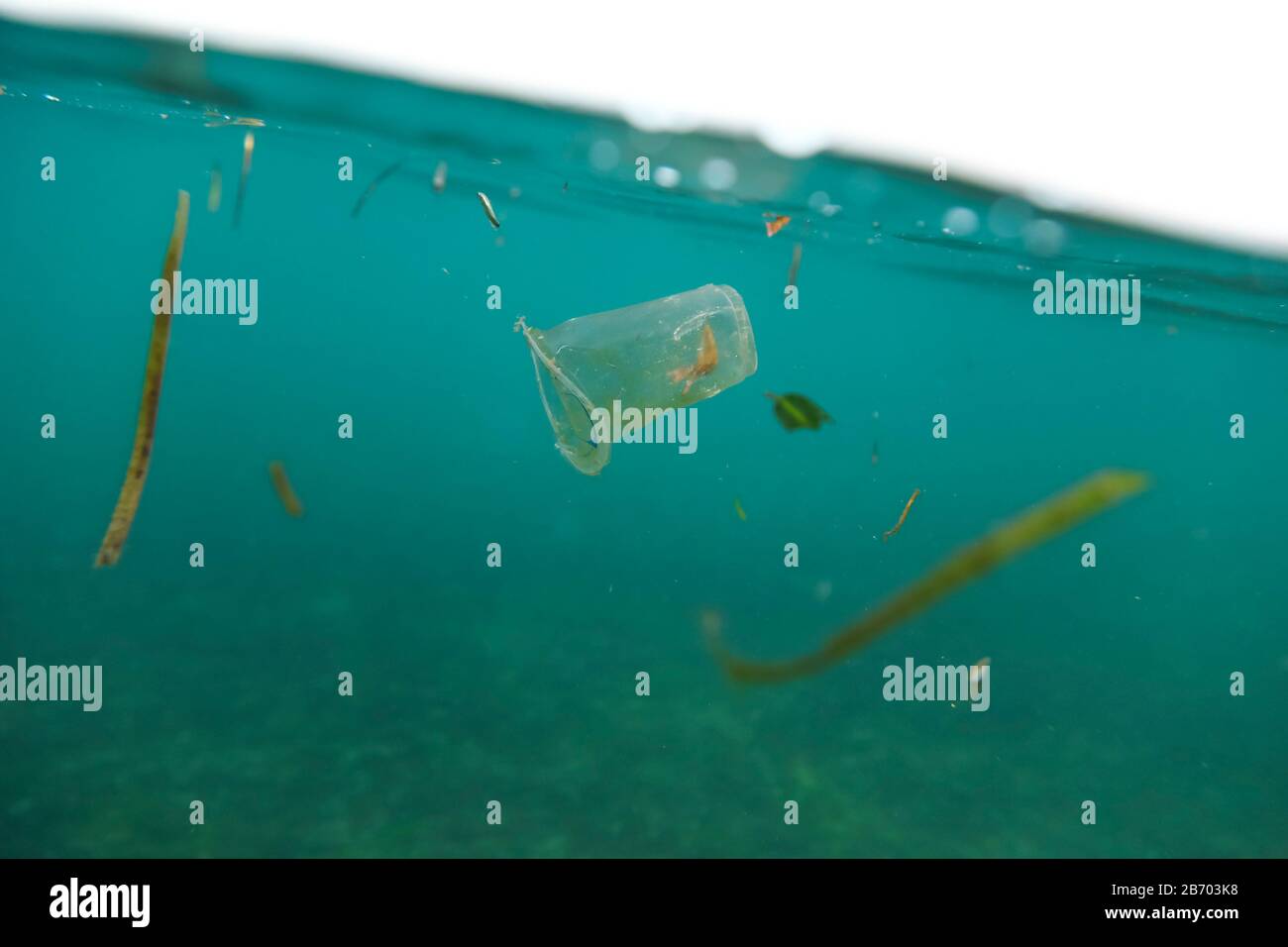 Old plastic cup hi-res stock photography and images - Alamy