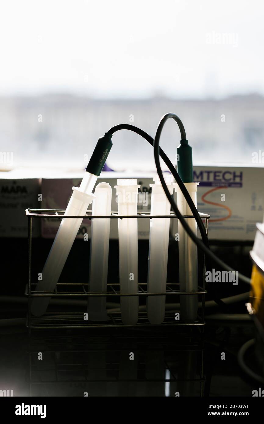 Test tubs in a laboratory Stock Photo - Alamy