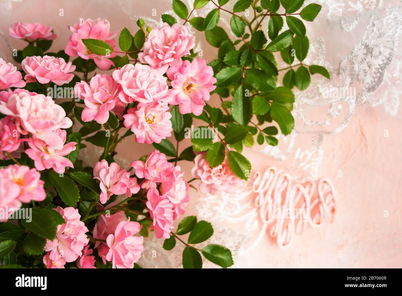Soft Pink color Roses Arrangement Romantic Background Stock Photo - Alamy