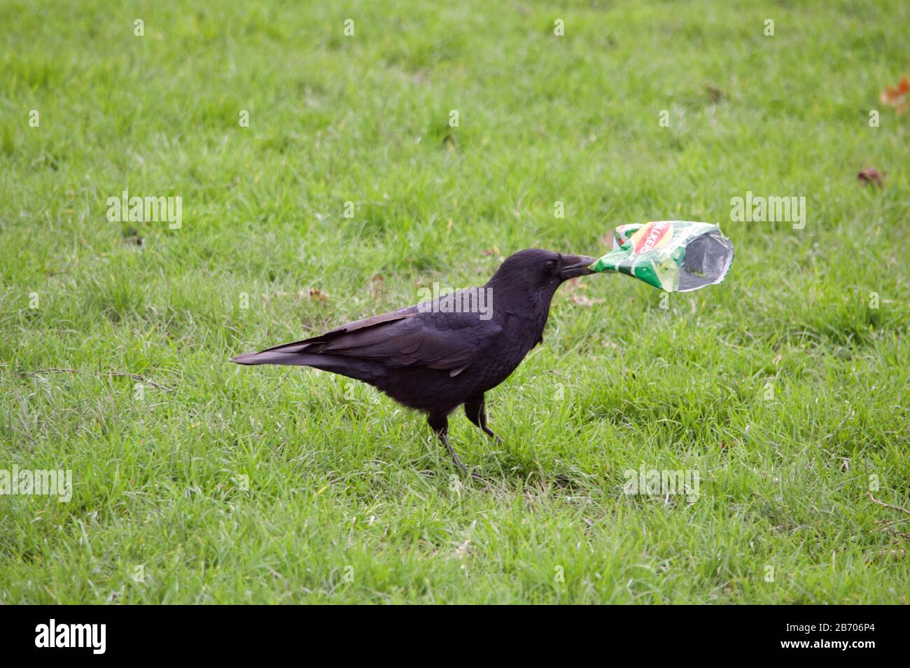 Empty packet of crisps hi-res stock photography and images - Alamy