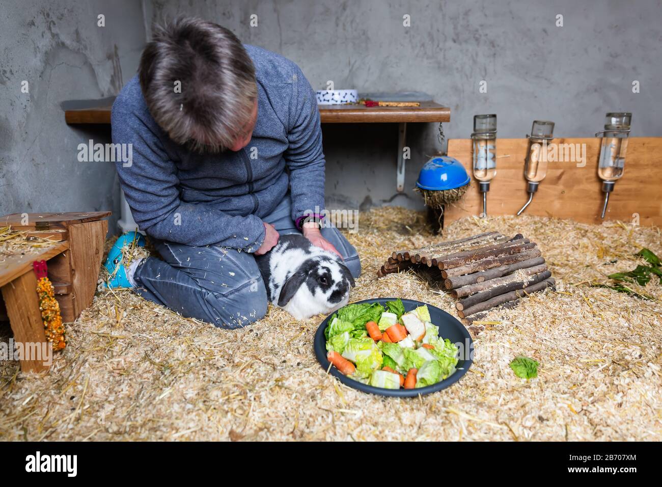 Mature Rabbit High Resolution Stock Photography and Images - Alamy