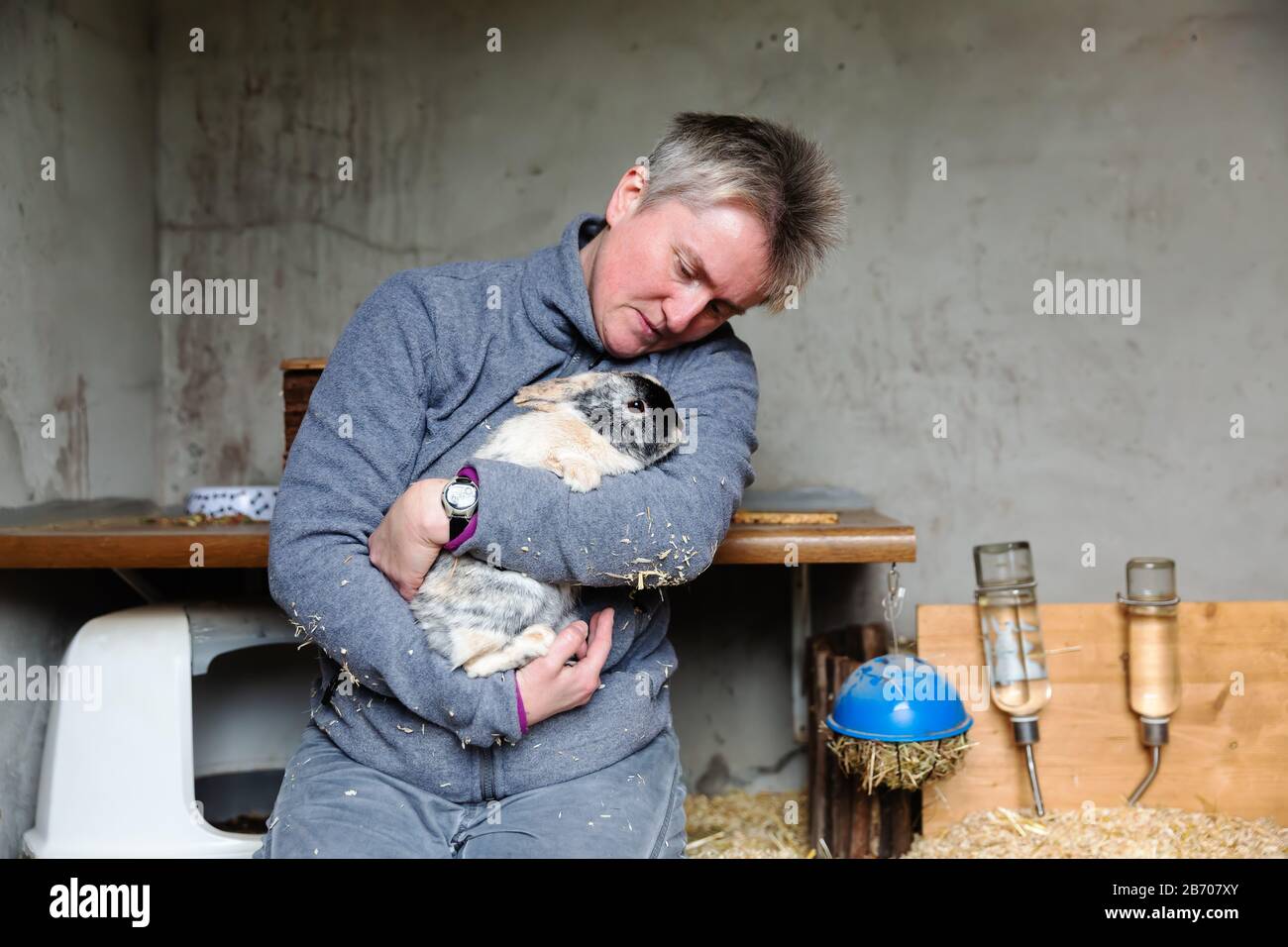 Mature rabbit hi-res stock photography and images - Alamy