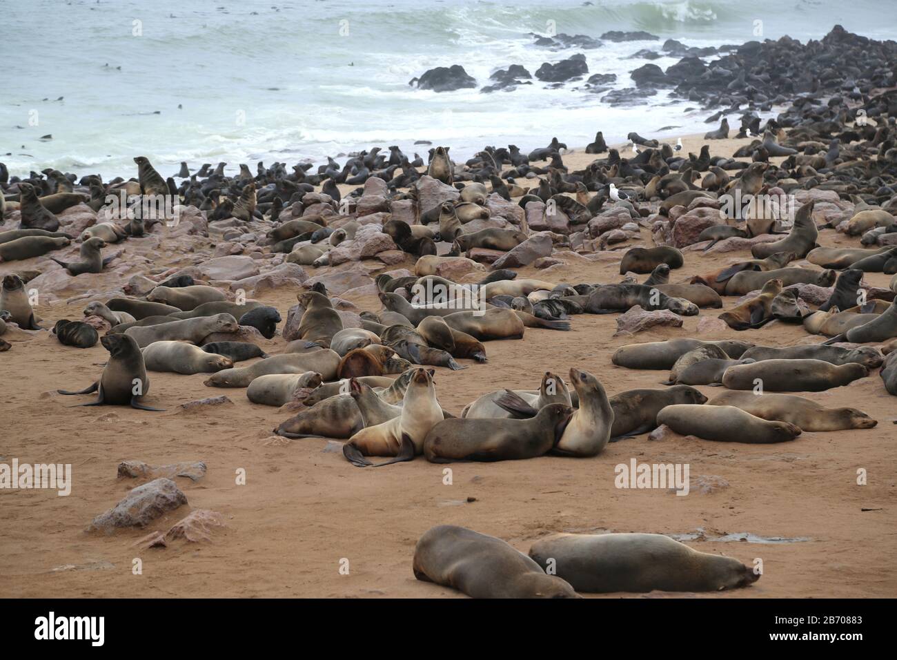 Cape namibia route hi-res stock photography and images - Alamy