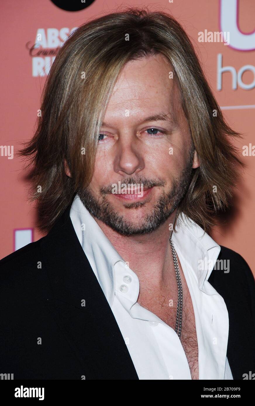David Spade at the US Weekly Hot Hollywood Awards held at Republic ...