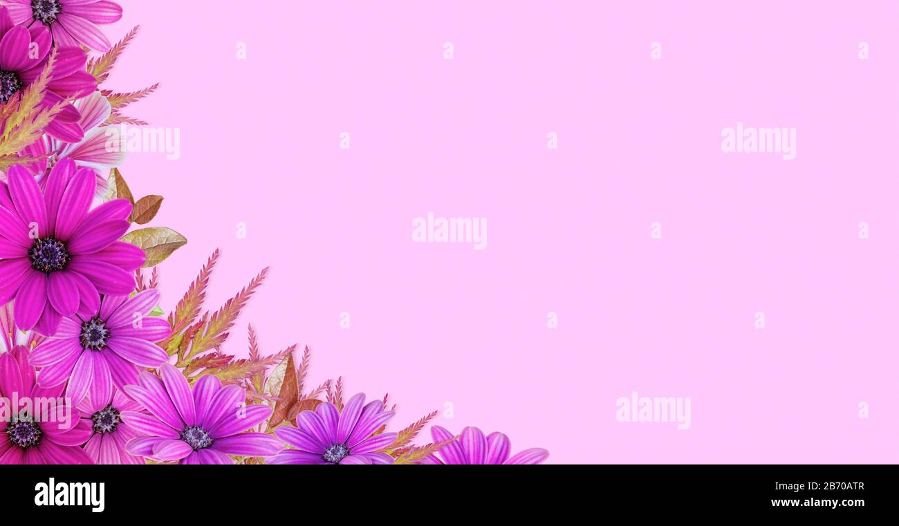 Floral assorted pink flower border on pink background. Flower ...