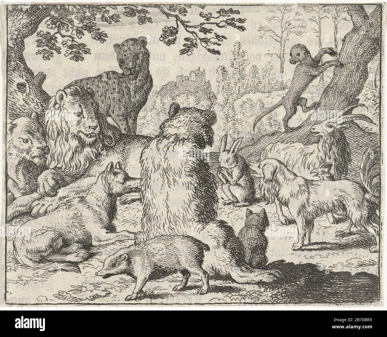 Reinaert de vos hi-res stock photography and images - Alamy