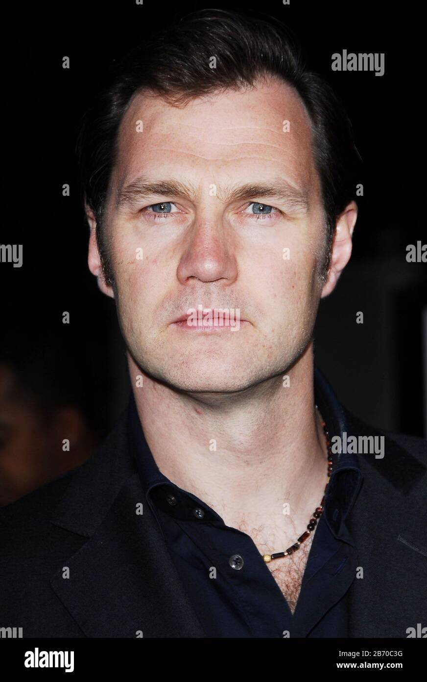 David Morrisey at the World Premiere of "American Dreamz" held at the ...