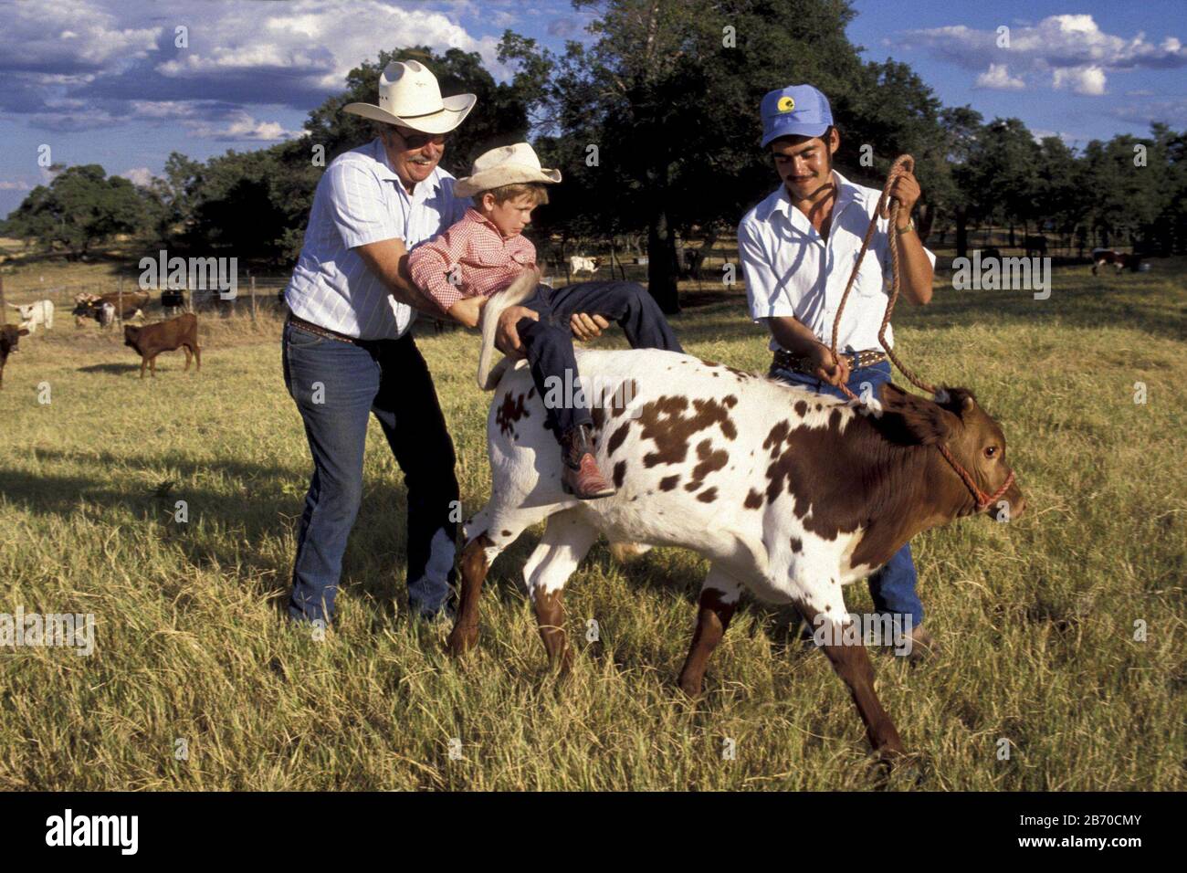 Fredericksburg Texas USA: Rancher and ranch hand help young boy sit ...