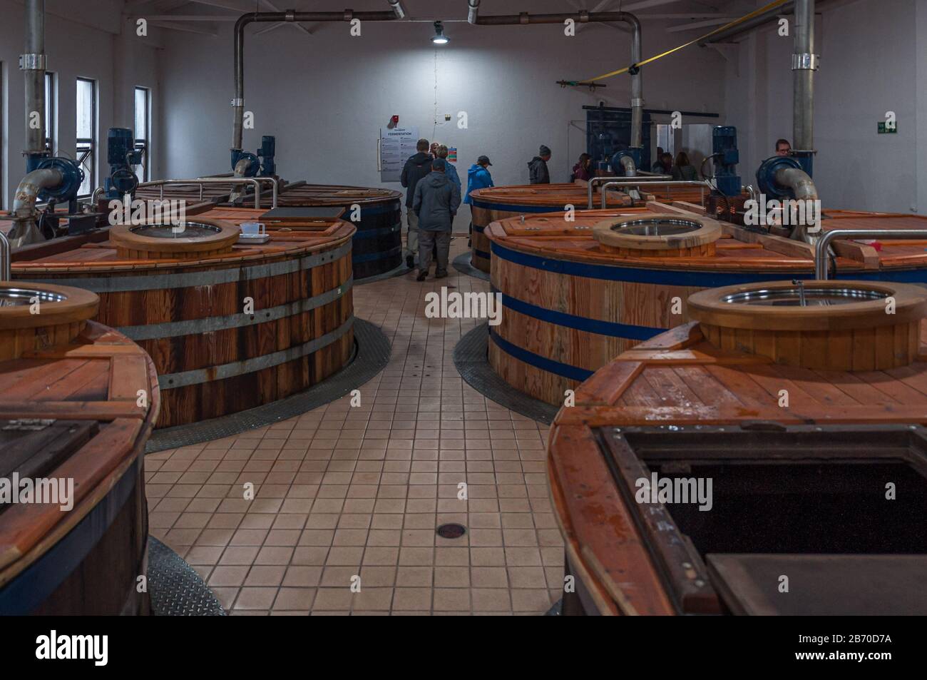 People near the fermentation tanks in the Talisker distillery Stock ...