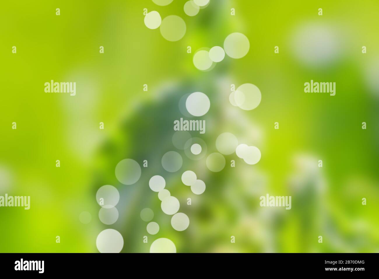 Natural green blured background with glare Stock Photo - Alamy