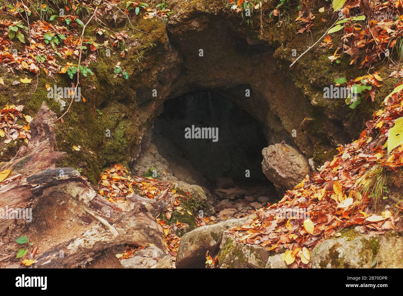Large cave entrance in the autumn forest Stock Photo - Alamy