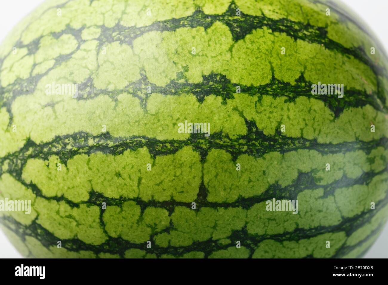Striped peel of ripe watermelon. Watermelon peel ka background in full ...